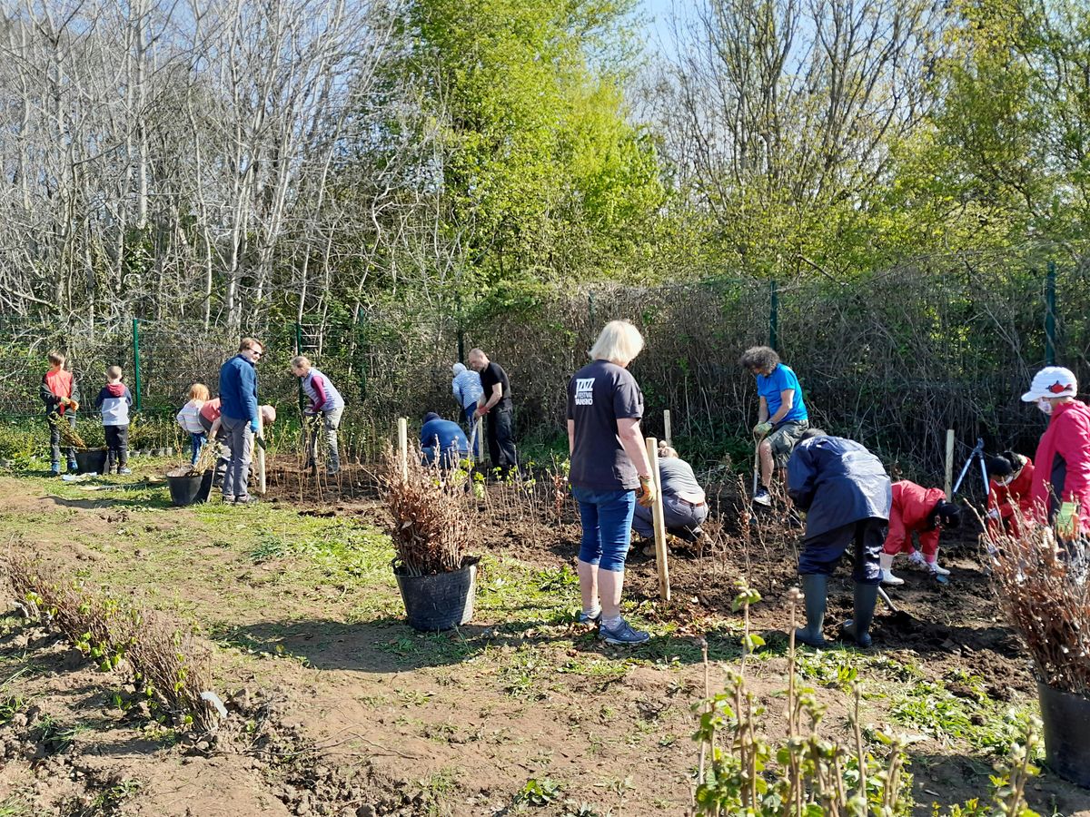 Forest Farm Tree Nursery Volunteering, Forest Farm Country Park ...