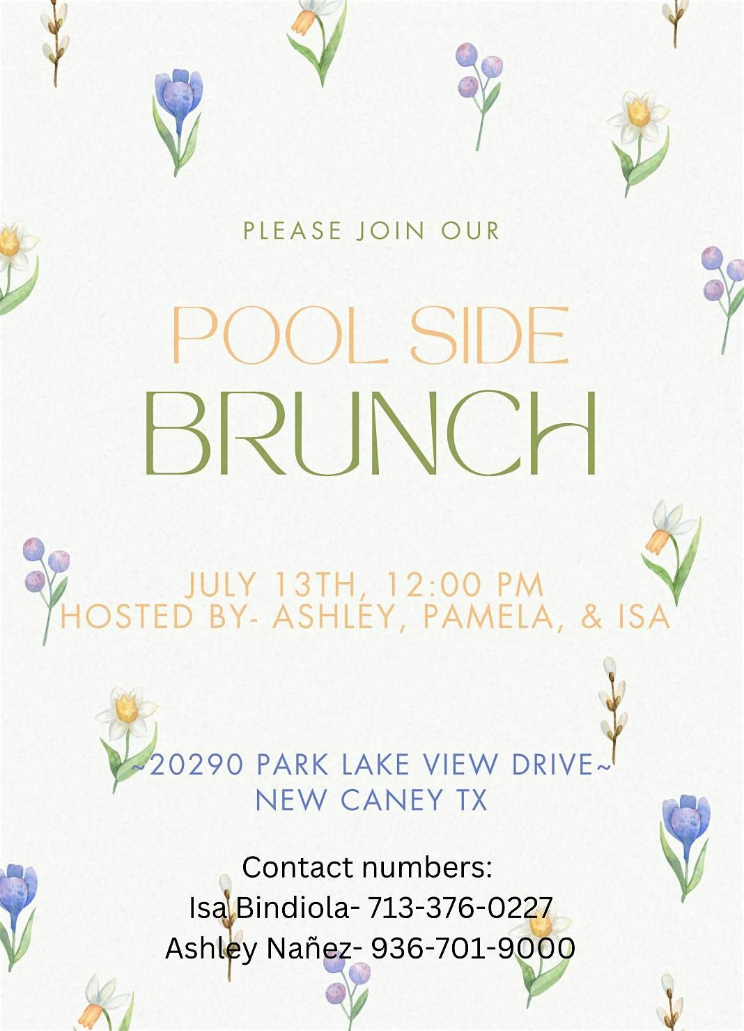 Poolside Brunch, 20290 Park Lake View Dr, New Caney, 13 July 2024 ...