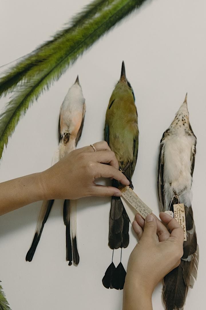 Moore Lab of Zoology Behind-the-Scenes Tour, Moore Laboratory of Zoology, Los Angeles, March 2 ...