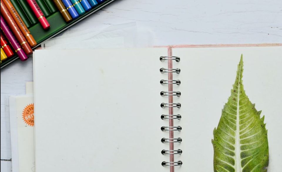 Foundations of Botanical Drawing & Painting, Massachusetts ...