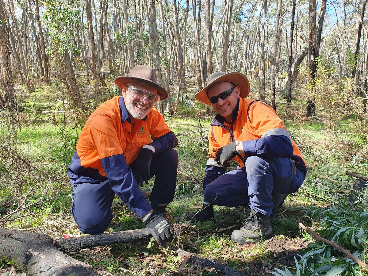 Caring for Native Vegetation Workshop - 5 May, Hindmarsh Tiers, To be ...