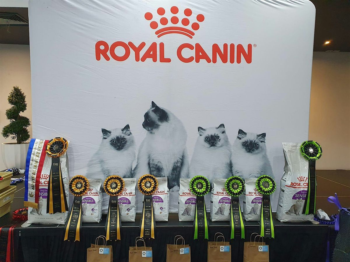 CAT SHOW: Cats NSW is PURRing into North Richmond, Panthers North ...