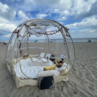 Discover Luxury Bubble Picnic with Water View Events | Tickets ...