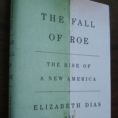 The Fall of Roe - The Rise of a New America, Boies Schiller Flexner LLP ...