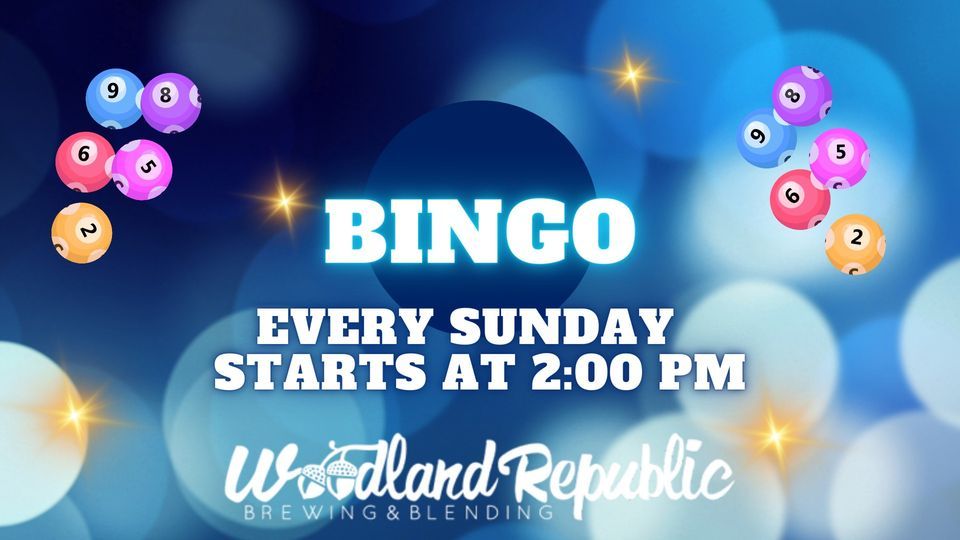 Bingo, 412 5th Street, Rapid City, SD, United States, South Dakota ...