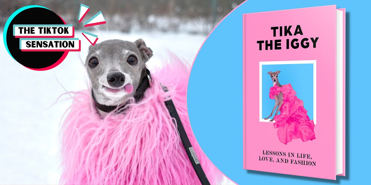 MEET AND GREET: An afternoon with Tika the Iggy!, Books & Books, Coral ...