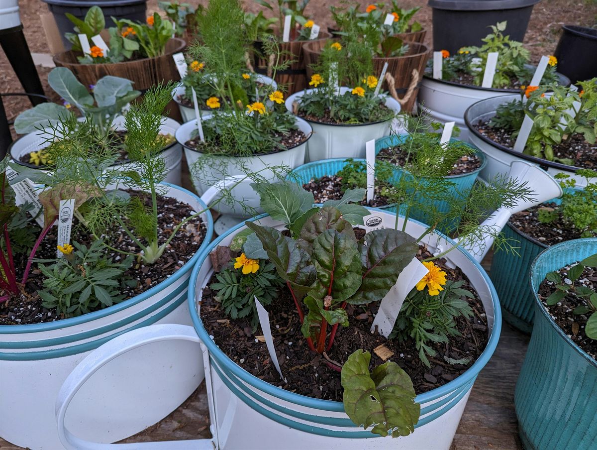 BYOP (Bring Your Own Pot) - Grow Food at Home with The Patio Farmer ...