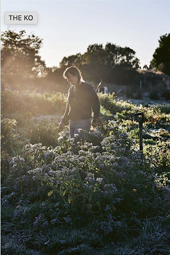 MATTHEW EVANS & PAULETTE WHITNEY IN CONVERSATION, THE KO Creative ...