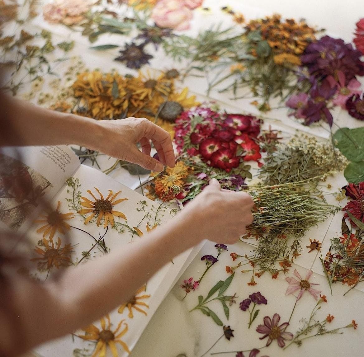 Eat your Flowers x Oat Bakery focaccia class, 231 Magnolia Ave, Goleta ...