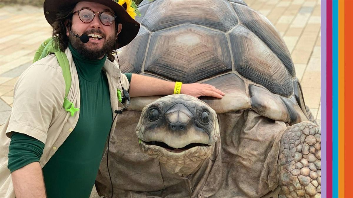 Flying Buttresses - What The Tortoise Told Us, The Word, National Centre for the Written Word ...