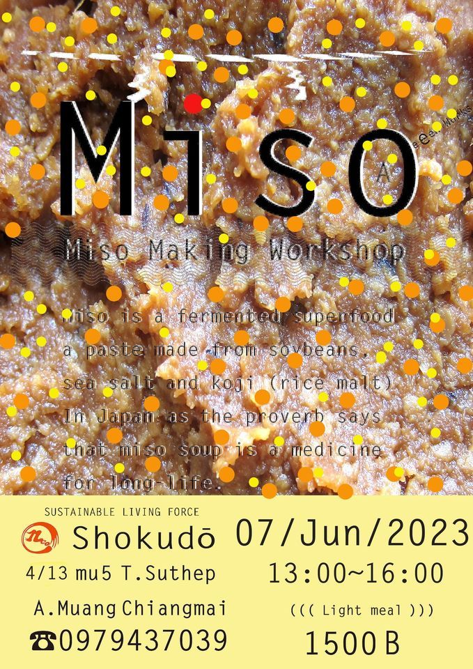 Miso Making Workshop at Neo shokudo, Aeeen, Chiang Mai, 7 June 2023 ...