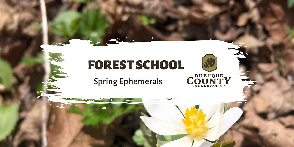 Forest School: Spring Ephemerals, Bankston Park, Holy Cross, 28 April ...