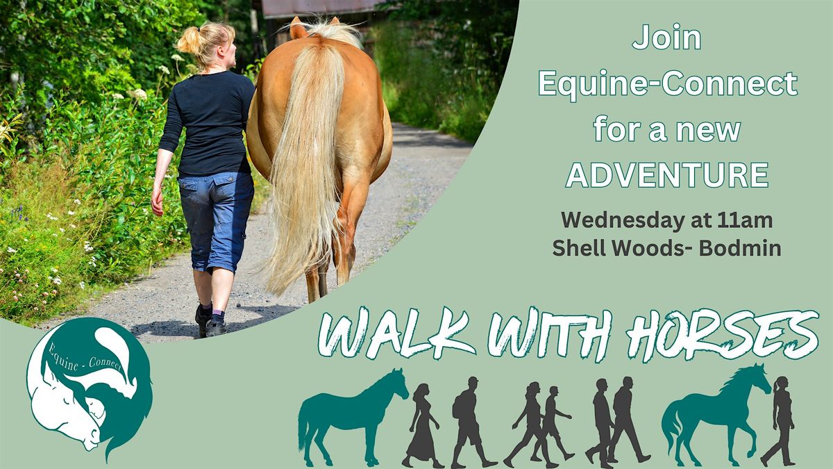 Guided Mental Well-being Walks with Horses, Shell Woods Forestry ...