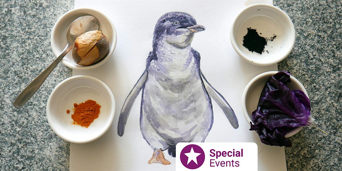 Make Eco-friendly Paints & Drawing Series, Brimbank Libraries: Keilor ...