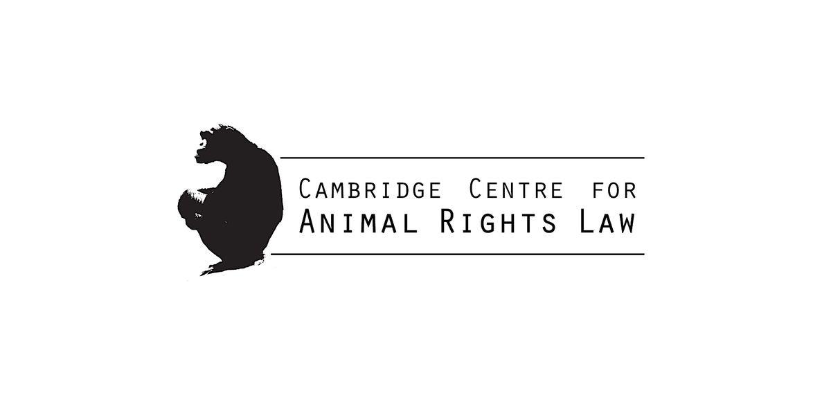 Deborah Cao in Talking Animals, Law & Philosophy, February 8 2024 ...