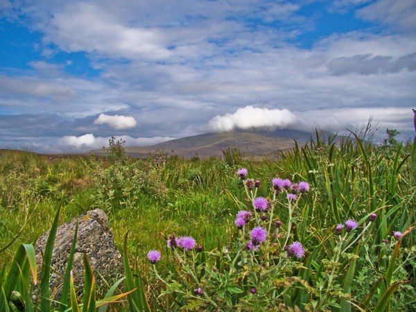 February Kilt Night, The Nook, Huntsville, February 24 2024 | AllEvents.in