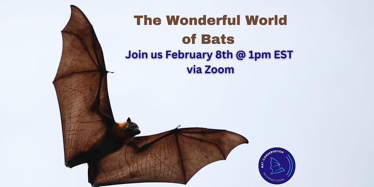 2023 CROW Speaker Series - The Wonderful World of Bats, February 8 2023 ...