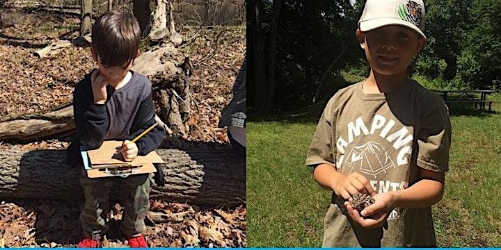 Young Naturalists: Peculiar Plants, Clay Pit Ponds State Park Preserve ...
