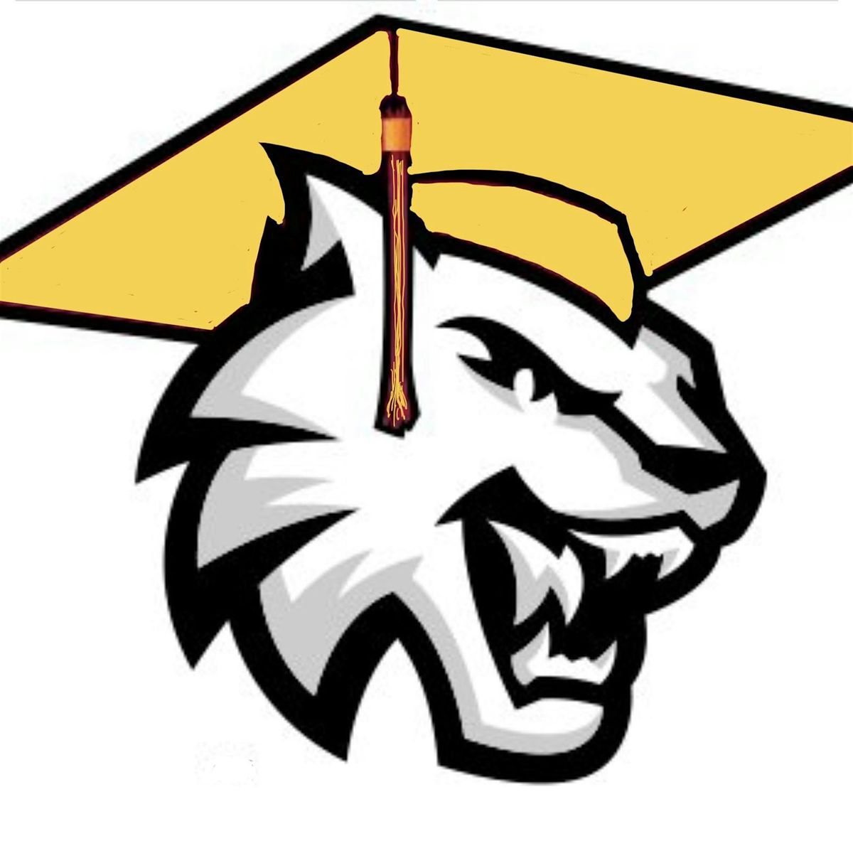A.N. Pritzker School 8th Grade Graduation Ceremony 2025, A N Pritzker ...