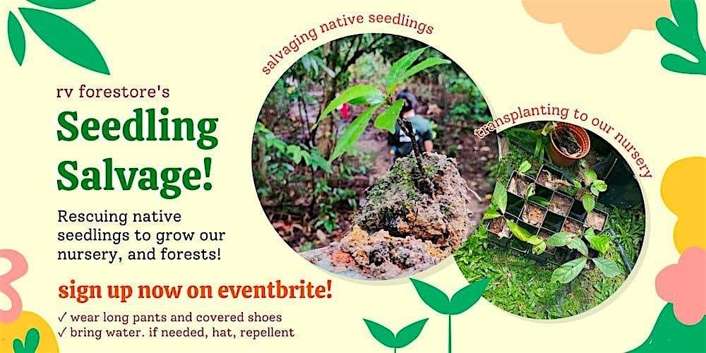 Seedling Salvage @Chestnut Nature Park, Chestnut Nature Park Car Park ...