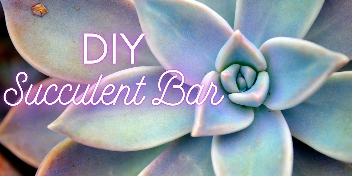 DIY Succulent Bar @ Forty Second Brew Kingston MA, Forty Second Brew Co ...