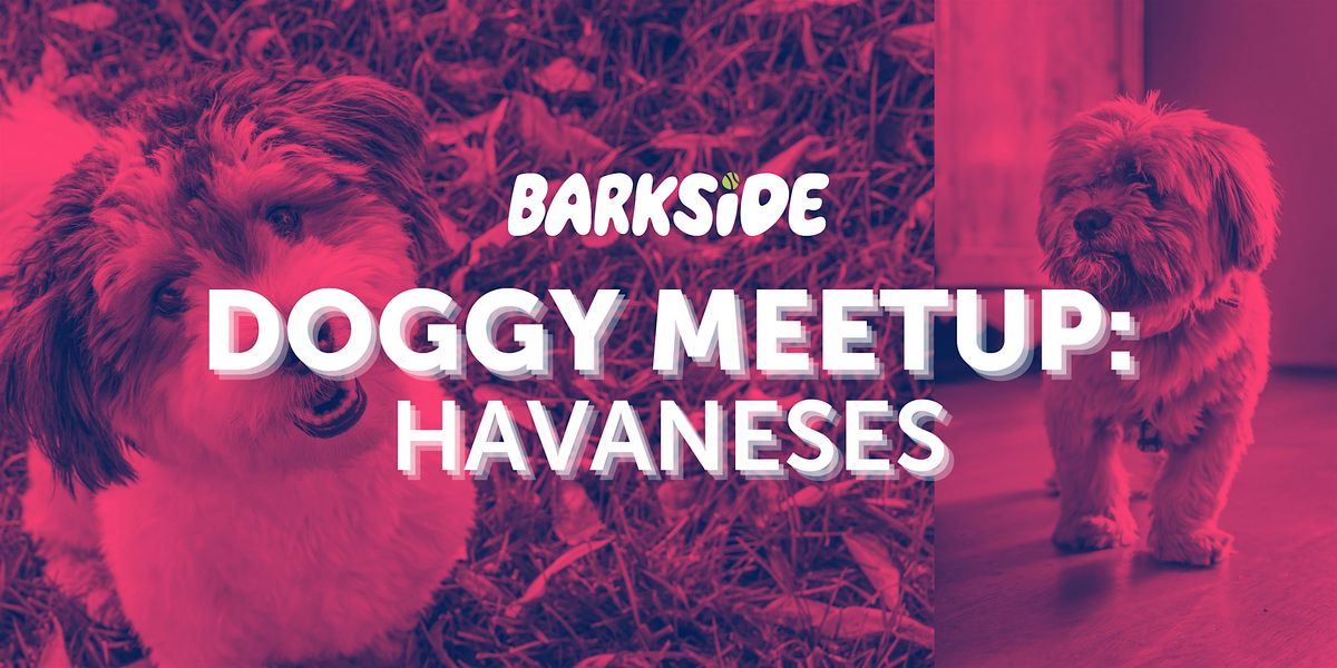 Doggy Meetup: Havaneses, Barkside, Detroit, 11 August 2024 | AllEvents.in