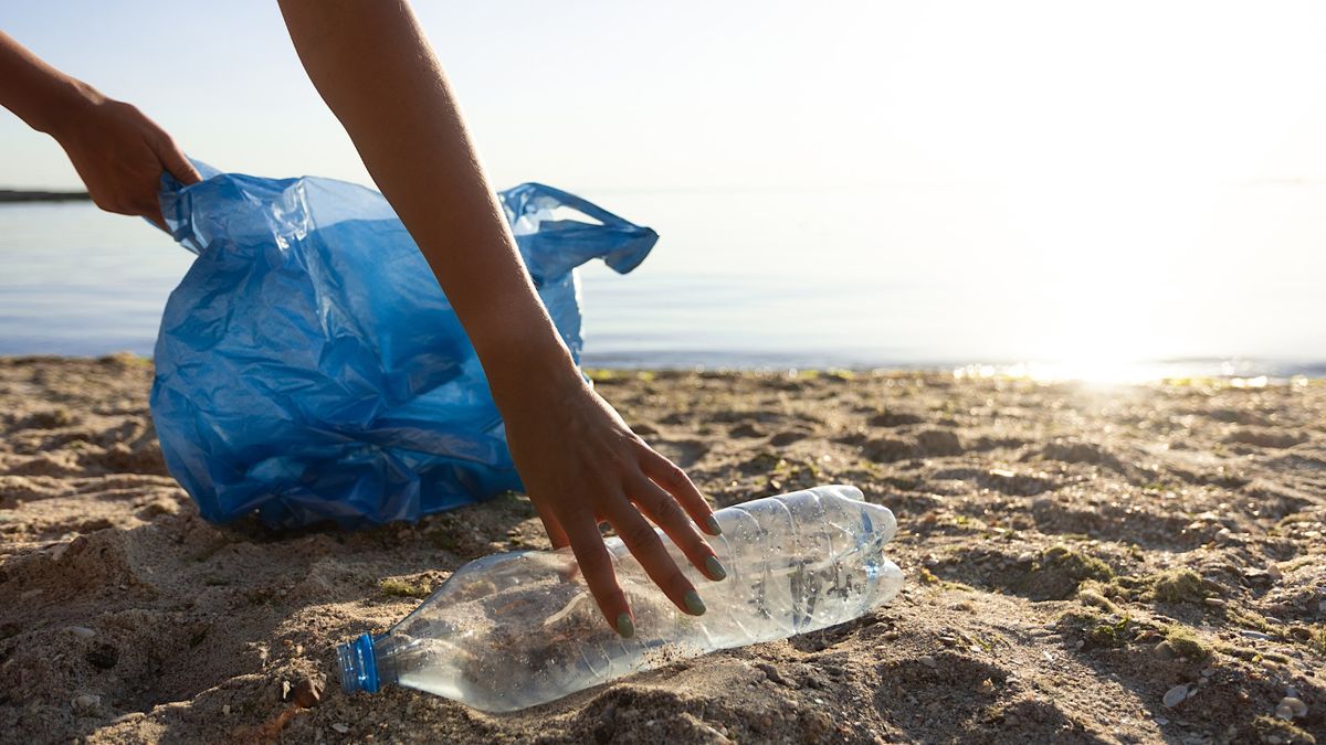 Pegwell Bay National Marine Week Beach Clean, The Viking Ship Cafe ...