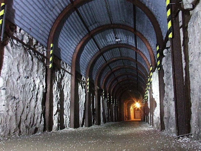 Epsom WWII Deep Level Shelter - Underground Guided Tour 11am, Ashley ...