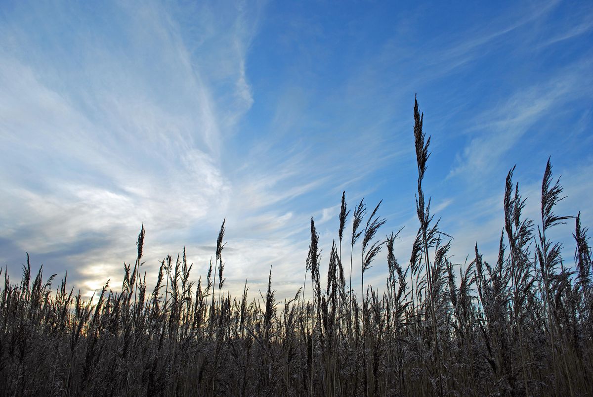 Introduction to the Geology of the Great Fen with Dr Steve Boreham ...