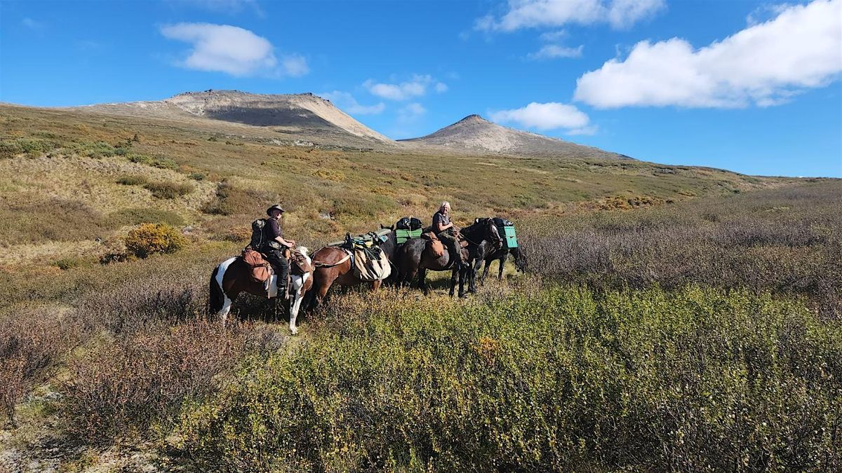 Overnight Horsepacking Trip, Caribou Wild Mountain Tours, Whitehorse, 6 ...