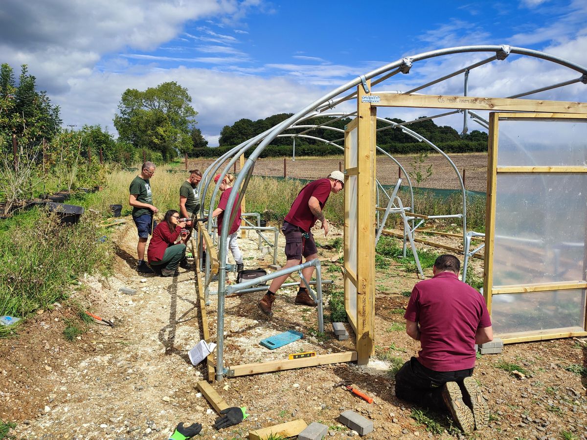 The final tree nursery polytunnel installment!!, HP7 0PQ, Winchmore ...