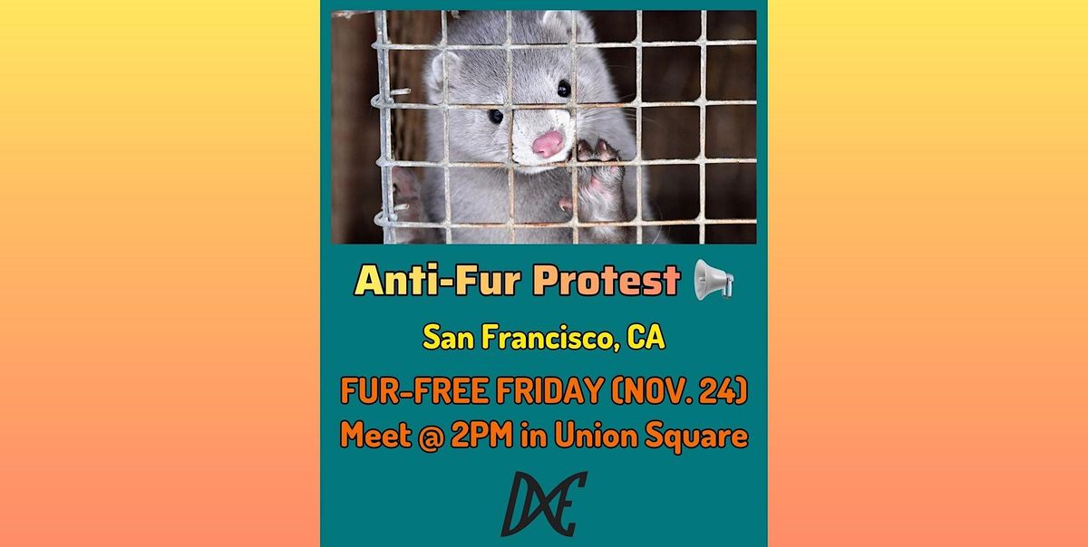 Anti Fur Protest: Fur Free Friday, Union Square, San Francisco, 24 ...