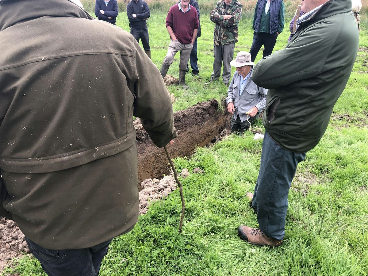 Grazing Discussion Groups - Visit to SFI Trial Plots, Bowden Farm ...