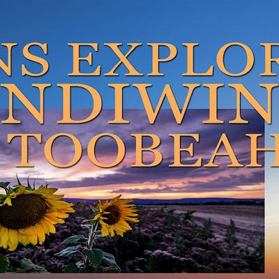 Goondiwindi to Toobeah Heritage Train Tour - 12:30pm - Great for kids ...