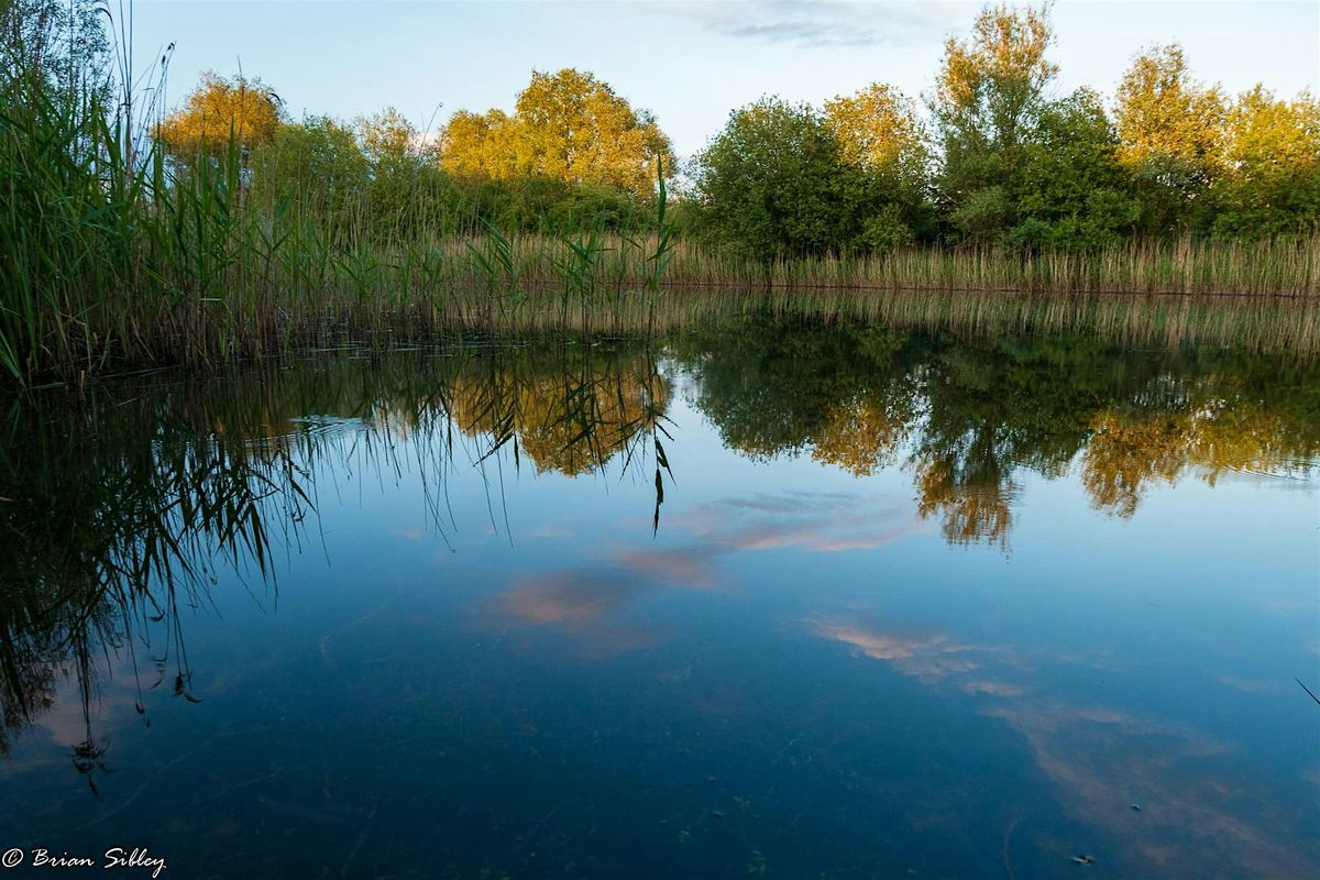 SIPC Needingworth RSPB Ouse Fen, 10 Bluntisham Rd, Needingworth, 16 ...