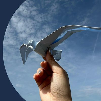 Suburban Seagulls Origami, Metquarter Liverpool, 7 June 2024 | AllEvents.in