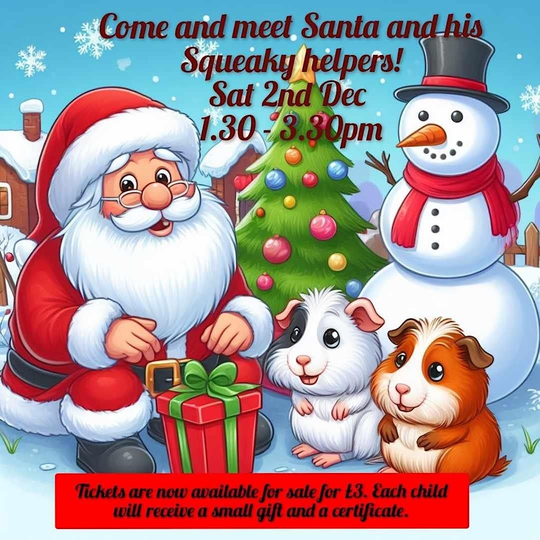 Kekis Guinea Pig Rescue Christmas Market - Meet Santa, Rucstall ...