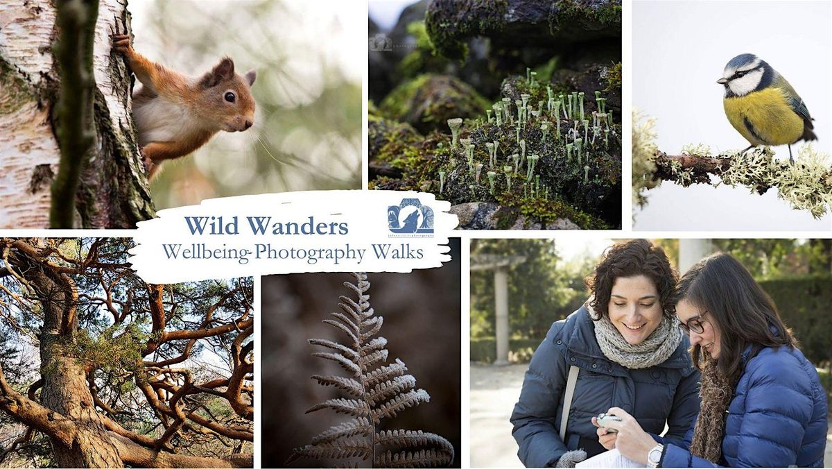 Wild Wanders - Wellbeing Photography Walk, Bridge of Earn - Various ...