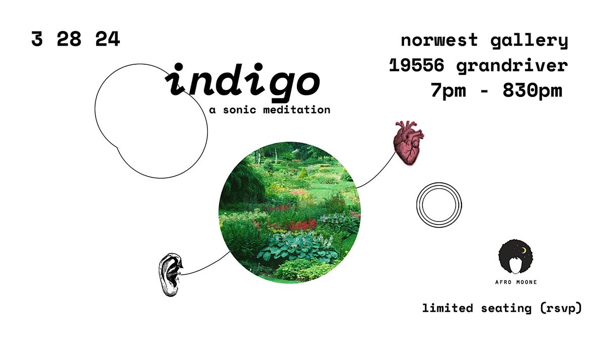 INDIGO SOUND MEDITATION, Norwest Gallery of Art, Detroit, 28 March 2024 ...