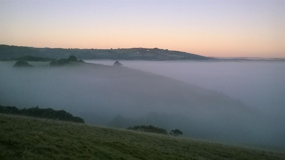 Dawn Chorus Walk at Woodah Farm, Devon Wildlife Trust Woodah Farm ...