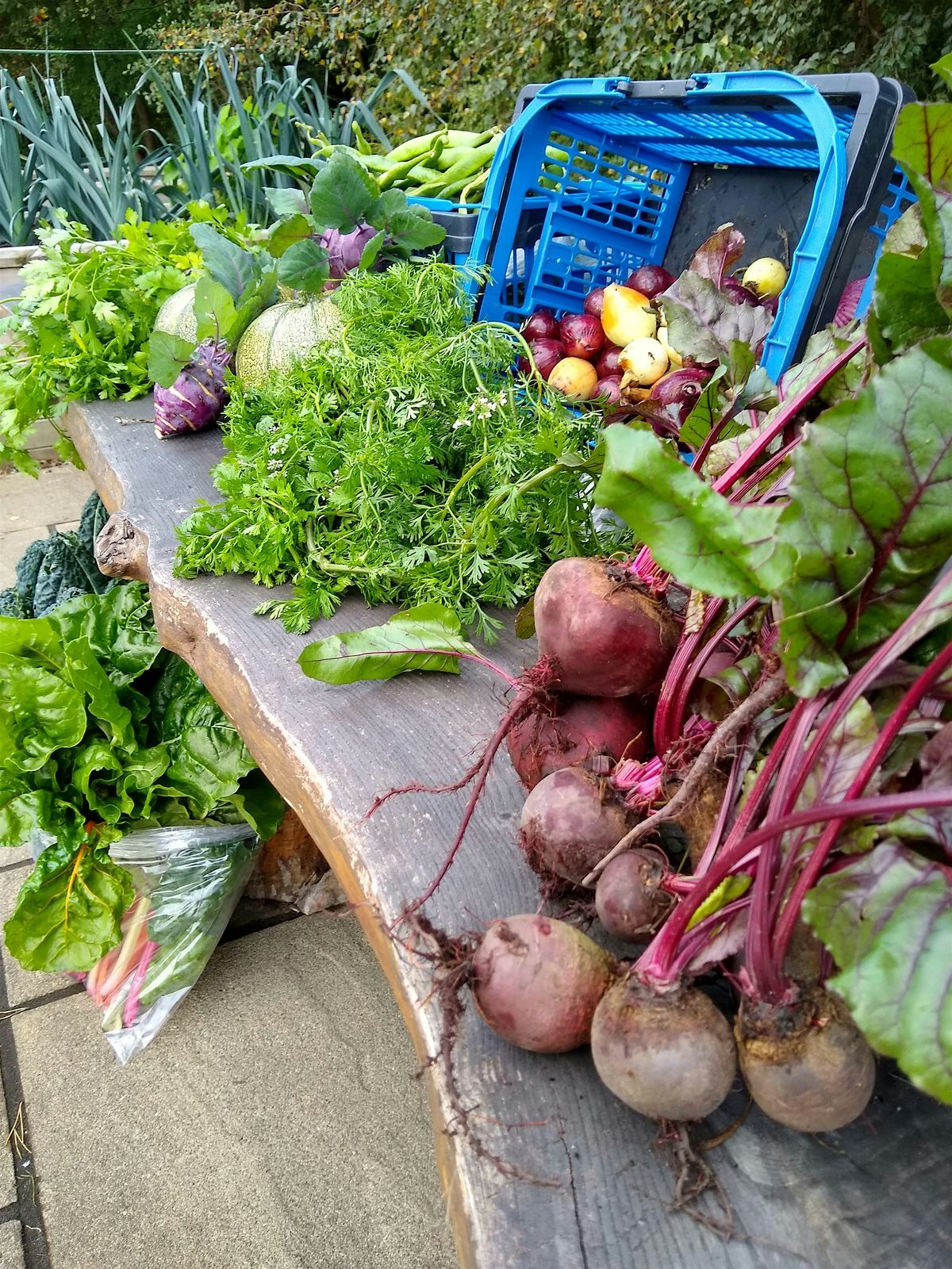 Dementia Friendly Garden Social - June, The Botanic Cottage, Royal ...
