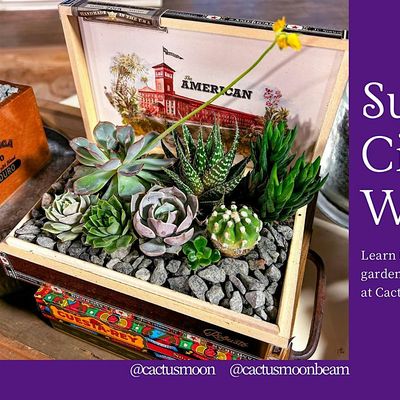 July 20: Succulent Saturday: Cigar Box Planter Workshop, Cactus Moon ...
