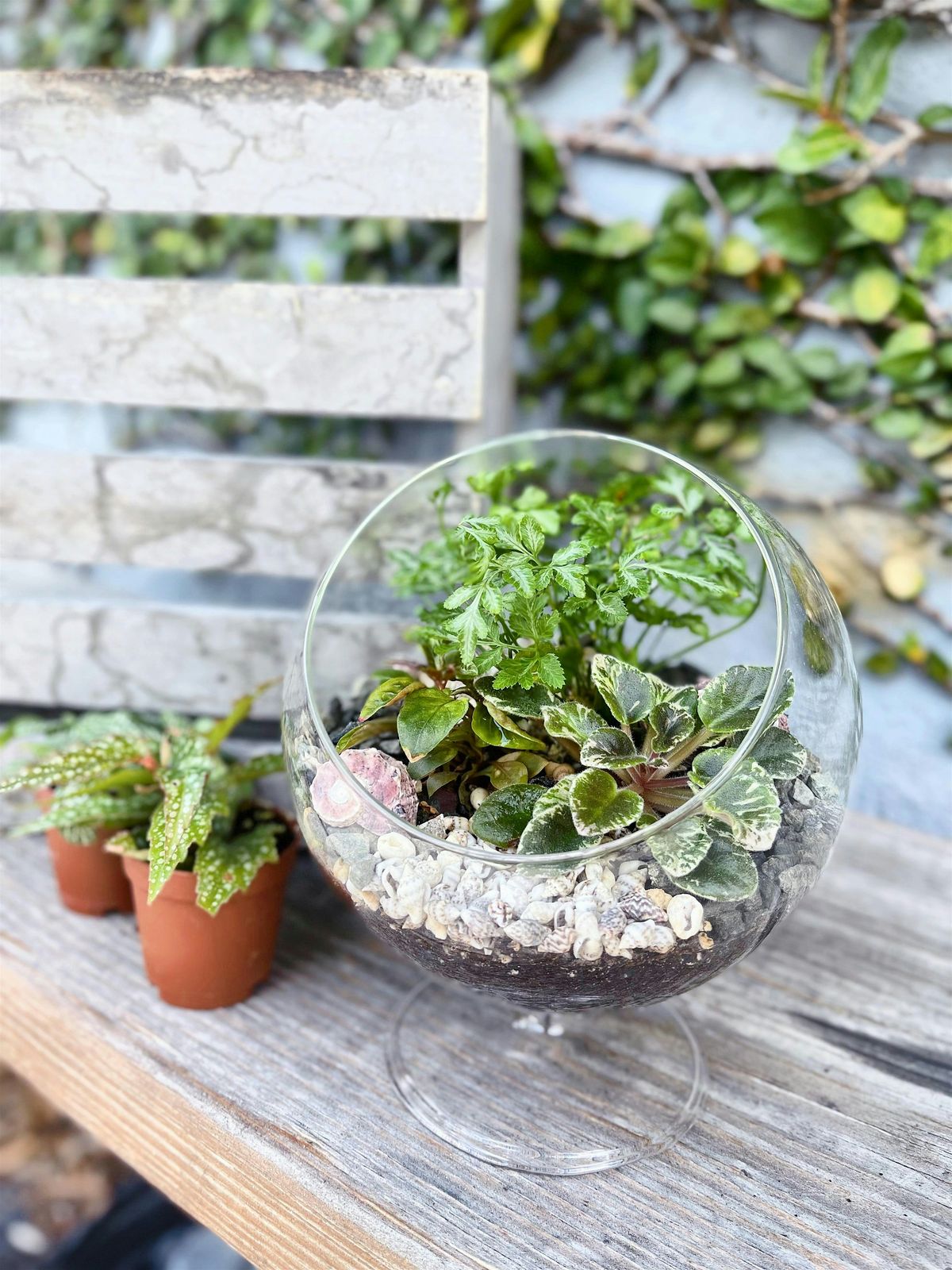 Create a Glass Bowl Terrarium, 141 Lincoln Ave, Winter Park, 26 July ...