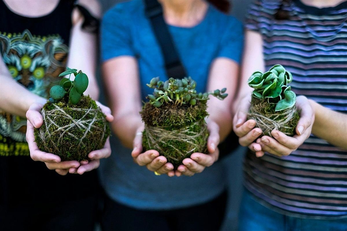 Kokedama Workshop, The Botany Shop, South Bend, 9 March 2024 | AllEvents.in