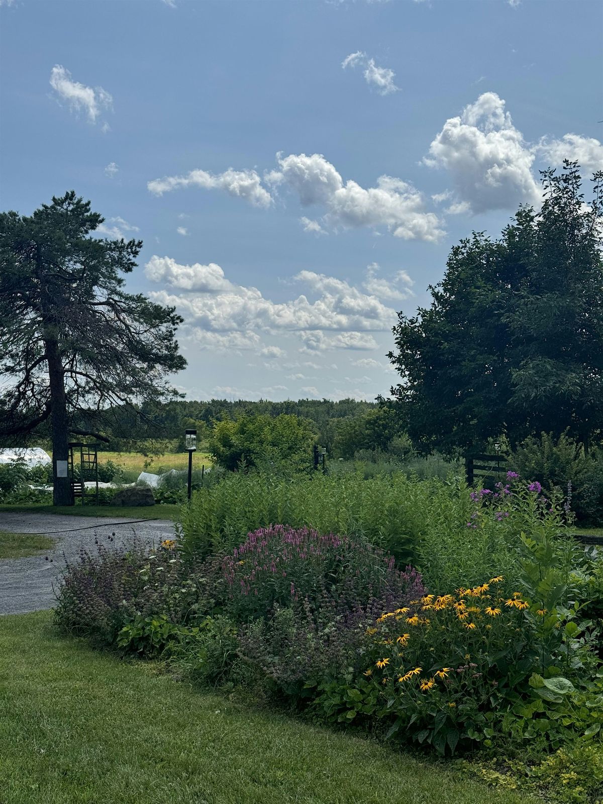 Sip & Paint: Episode 2 - The Retreat, Strathmere, Ottawa, 18 August ...