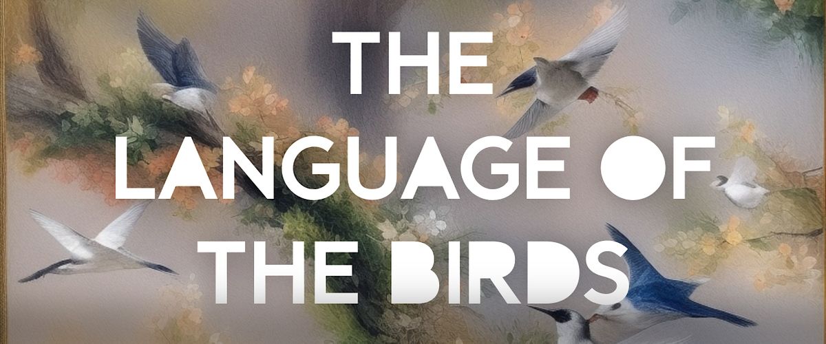 Soft Opening of THE LANGUAGE OF THE BIRDS, 836M, San Francisco, 15 February 2024 | AllEvents