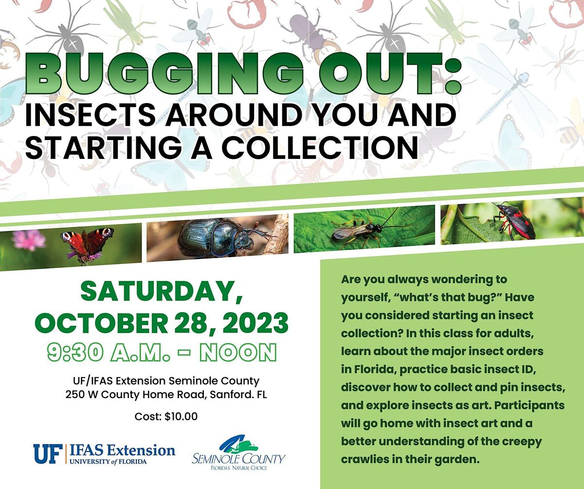 "Bugging Out!" Insects Around You and Starting a Collection, UF/IFAS ...