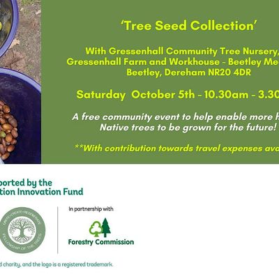 Tree seed collection at Gressenhall Farm and Workhouse, NR20 4DR ...