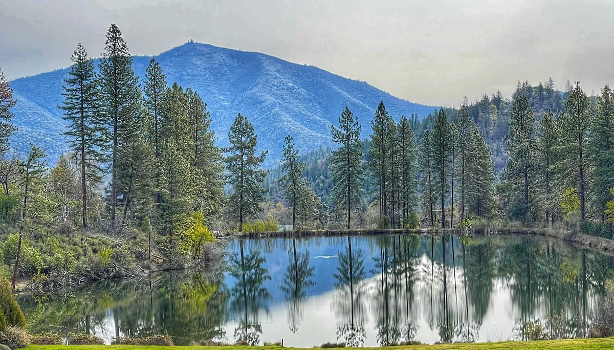 Guided Forest Therapy Walk at Pacifica: A Garden in the Siskiyous ...