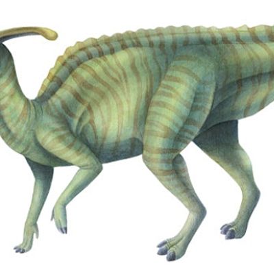 Burpee Museum Art of the Earth - Hadrosaurs: Instrumental Crests 0928 ...